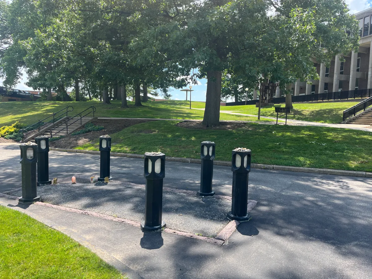 Caryn Rose | jukeboxgraduate dot com